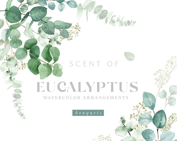 Watercolor Eucalyptus Elements Clipart, Greenery Clipart, Green ...