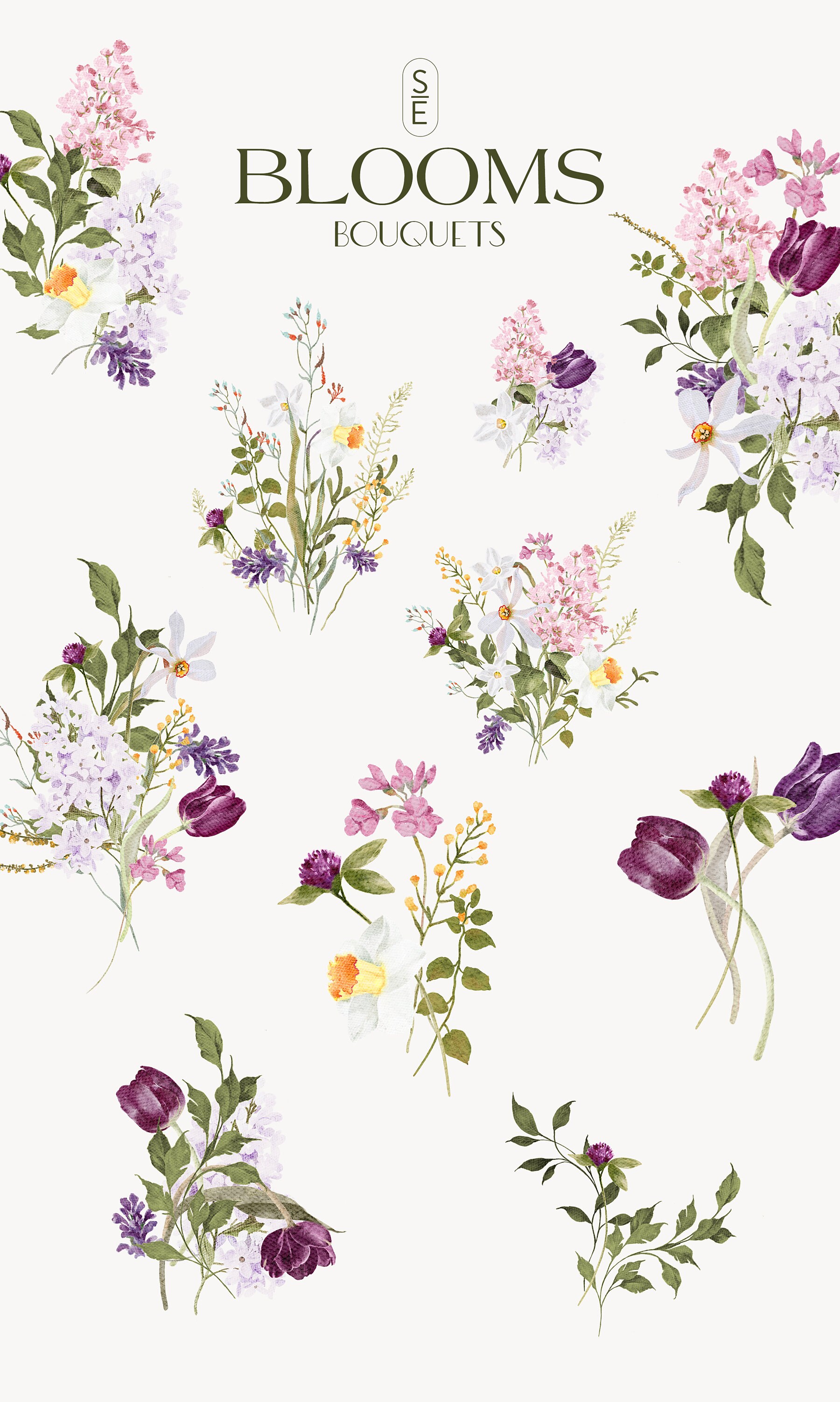 Blooms Watercolor Spring Floral Clipart Tulips Lilac - Etsy