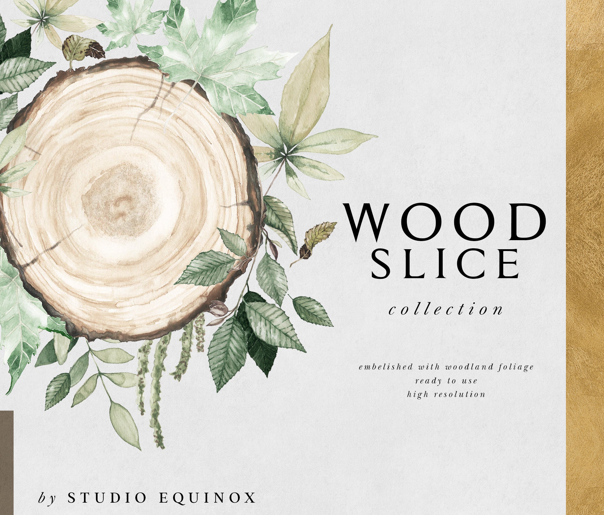 Wood Slice Collection Watercolor Wood Slice Embellished With - Etsy