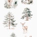Watercolor Woodland Clipart, Forest Animals, Flowers, Landscape (PNG ...