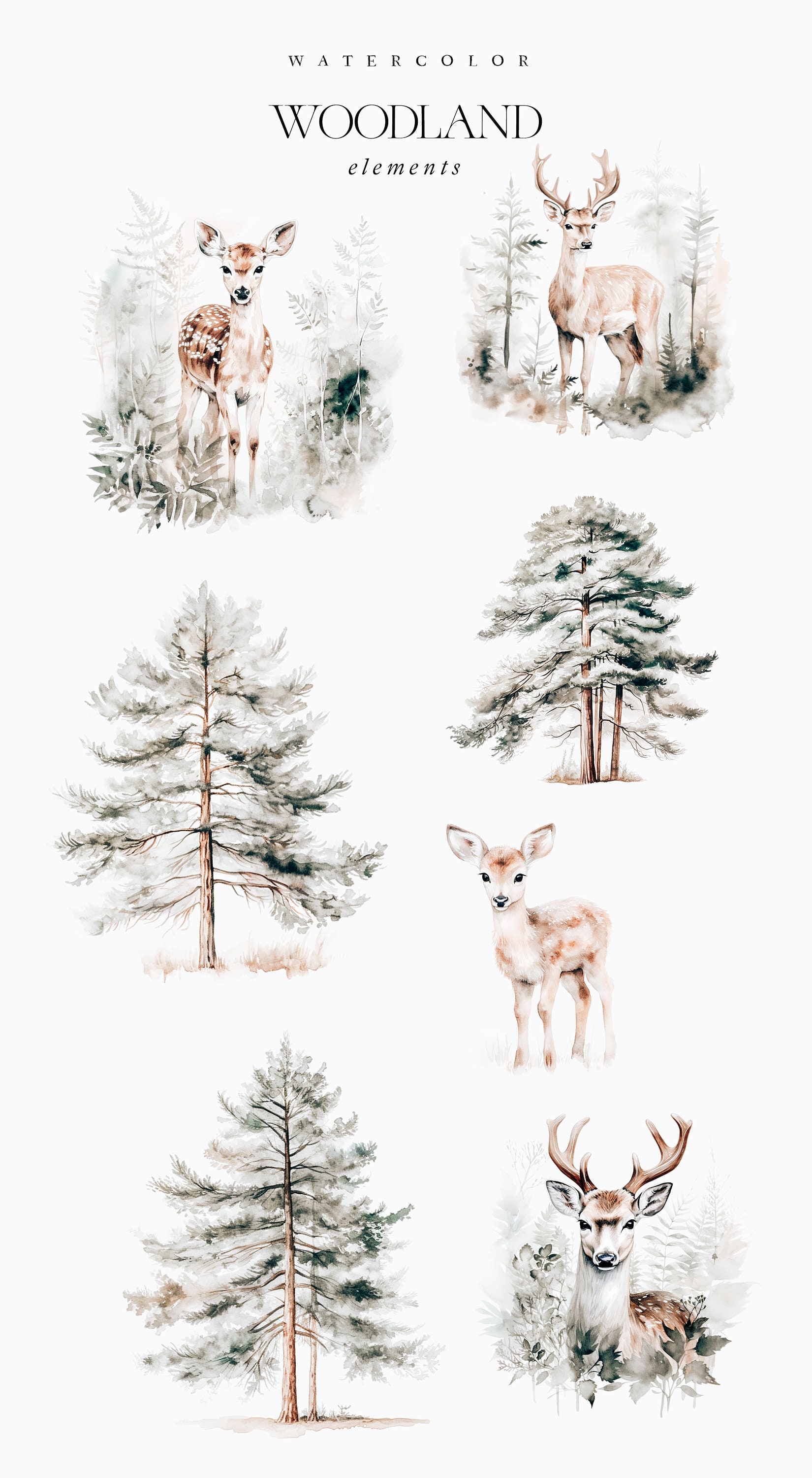 Watercolor Woodland Clipart, Forest Animals, Flowers, Landscape (PNG ...