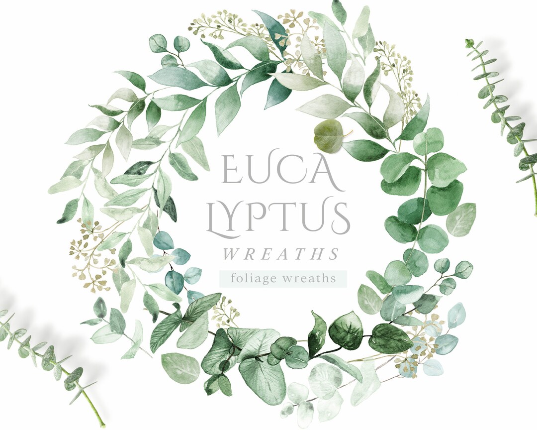 Watercolor Greenery Eucalyptus Clipart, Eucalyptus Wreath, Greenery ...