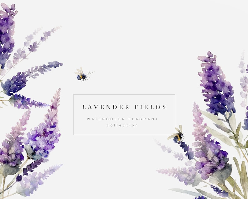 Floral Watercolor Clipart Lavender Flowers Clipart Purple - Etsy