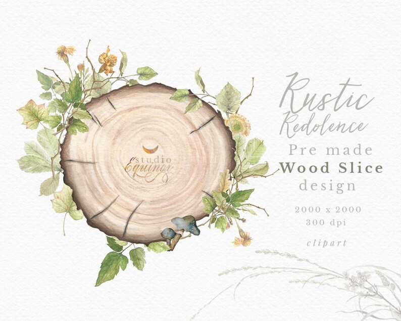 Watercolor Rustic Wood Slice Clipart, Floral Design (PNG) - Etsy