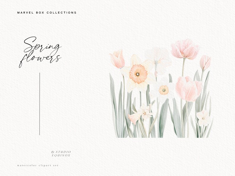 Watercolor Spring Flower Borders Clipart, Tulips, Daffodils (digital ...
