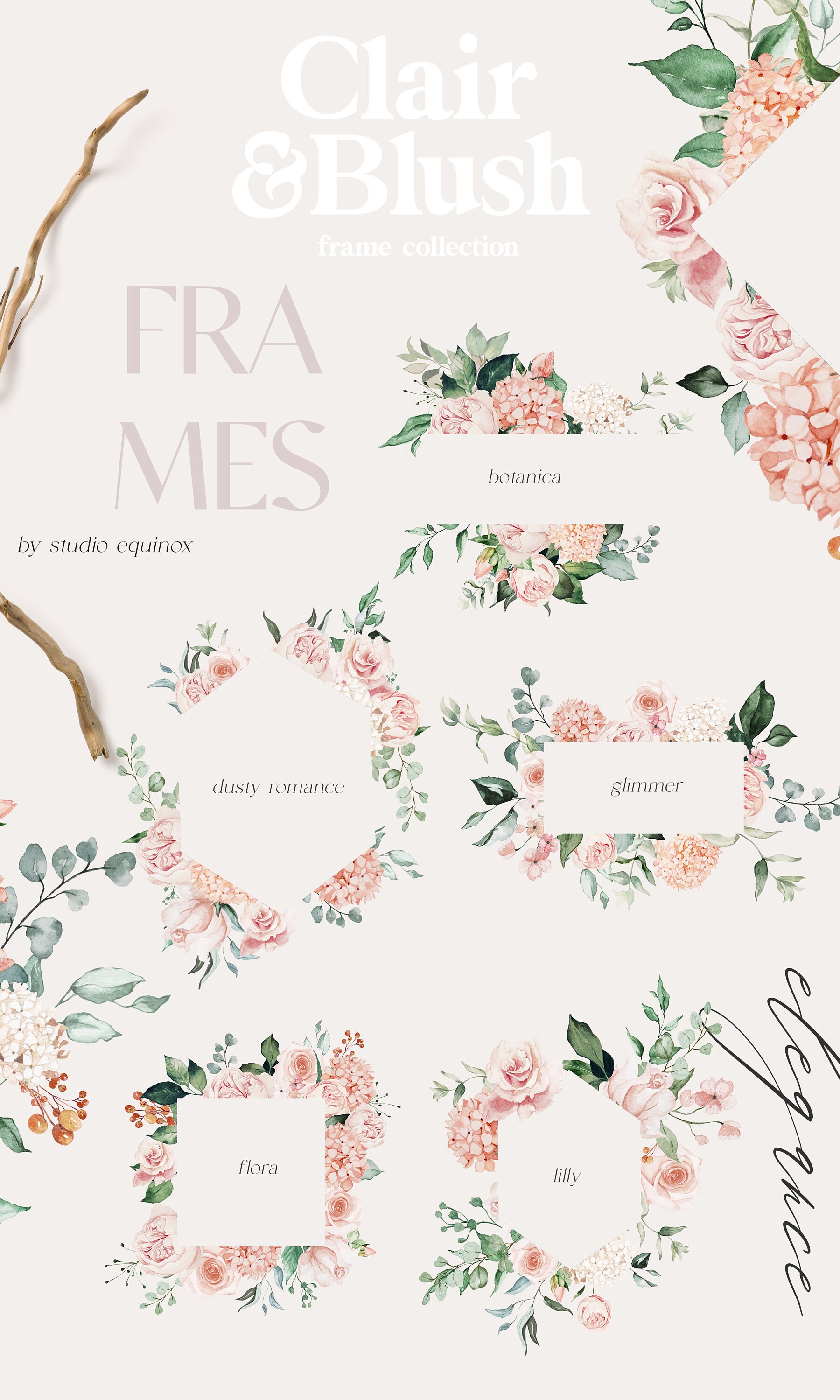 Clair & Blush Watercolor Blush Graphic Set Summer Floral - Etsy