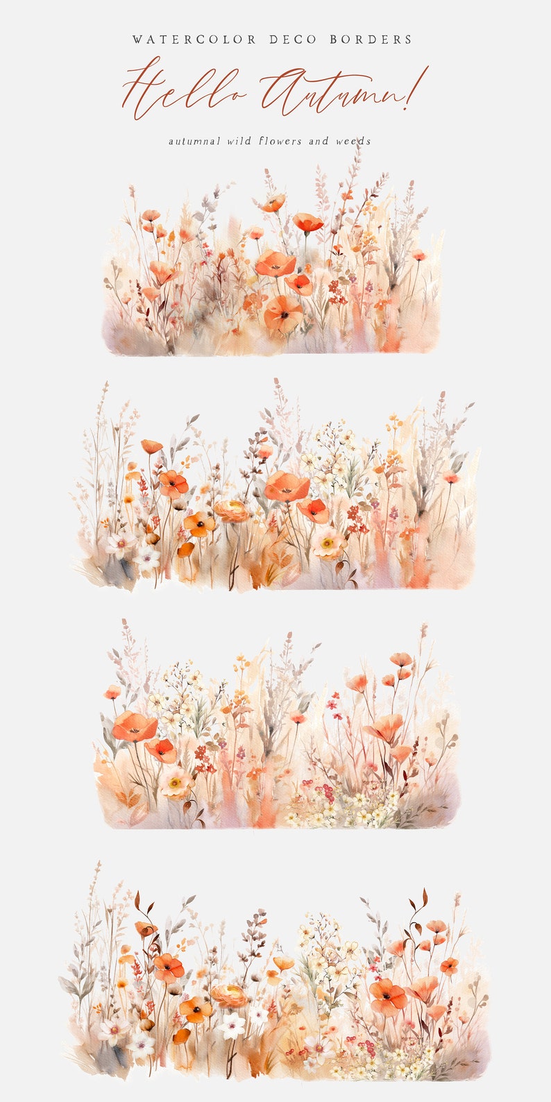 Watercolor Autumn Floral Borders, Fall Flowers Clipart (PNG) - Etsy
