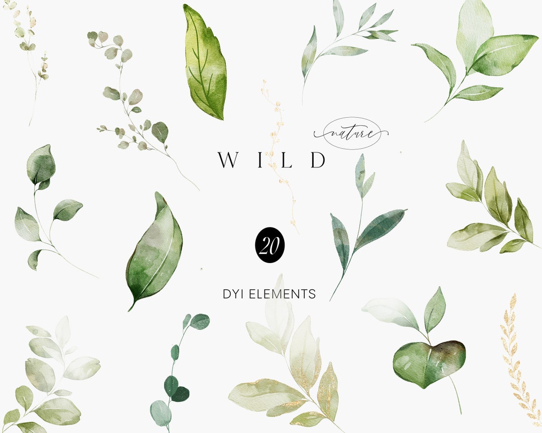 Watercolor Greenery Clipart – 20 Botanical DIY Elements (PNG) - Etsy