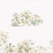 Watercolor White Flowers Clipart, Floral Bouquet, Frame, Border (PNG ...