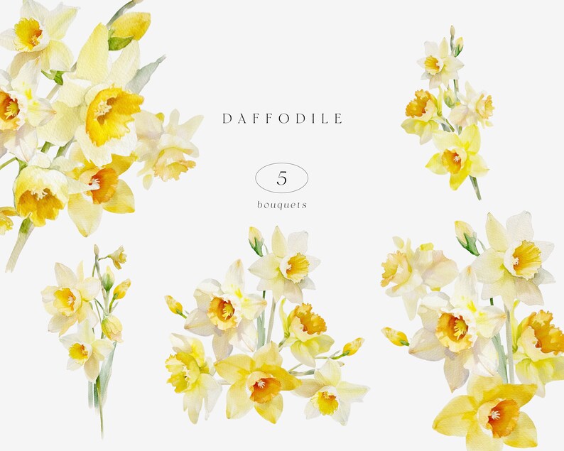 Daffodil Watercolor Clipart Set, Floral Bouquets, Wreath, Frame (PNG ...