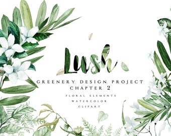 Wild Floral Clipart Watercolor Spring/summer Flowers Wild - Etsy