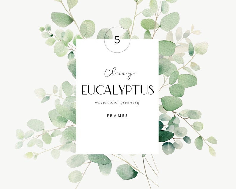 Watercolor Eucalyptus Frames Clipart, Greenery With Gold Foil (PNG) - Etsy