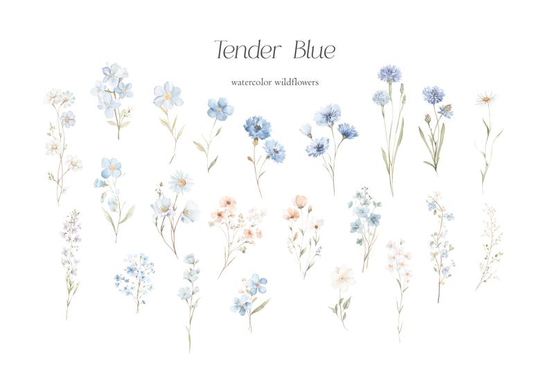 Watercolor Vintage Clipart Set: Blue Wildflowers Arrangements, Seamless ...