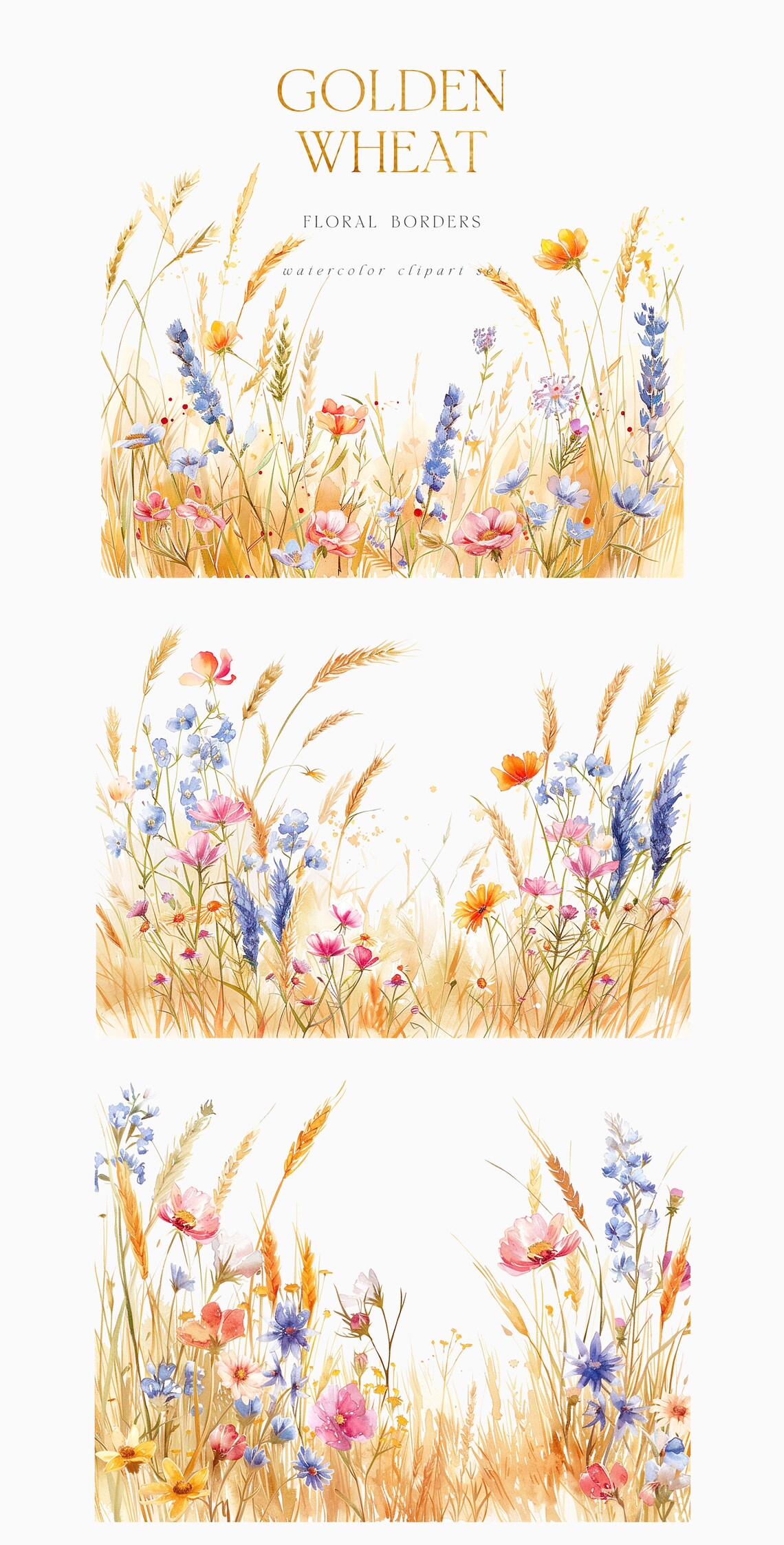 Watercolor Wheat Field Floral Borders Clipart (PNG) - Etsy