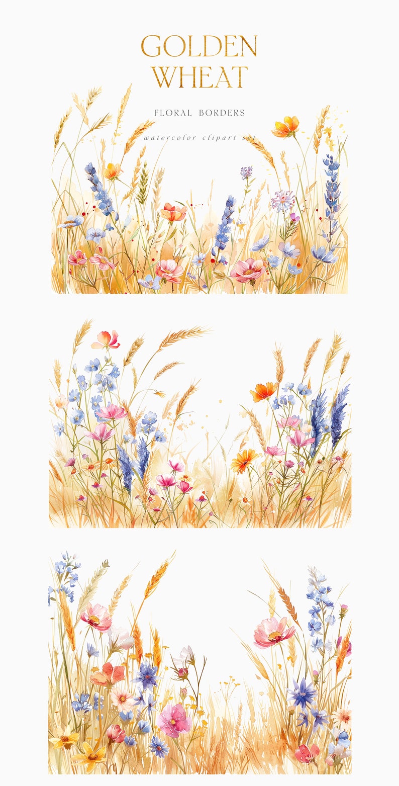 Watercolor Wheat Field Floral Borders Clipart (PNG) - Etsy