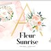 Fleur Sunrise Alphabet, Watercolor Floral Alphabet, Gold Letters, Gold ...