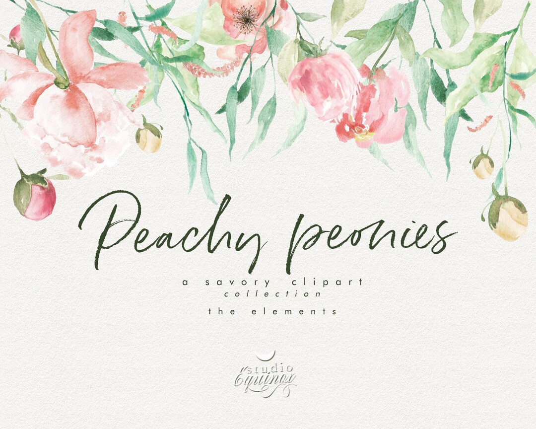 Watercolor Floral Elements Clipart Floral Frame Watercolor - Etsy