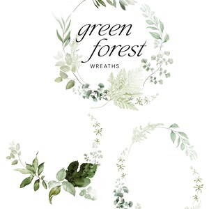 Greenery Foliage Clipart - Greenery Clipart - Eucalyptus Clipart ...
