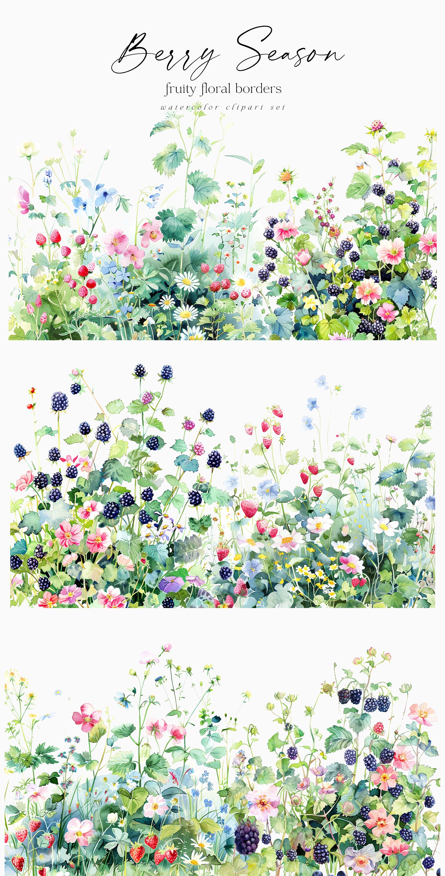 Watercolor Floral Berry Borders Clipart (PNG) - Etsy