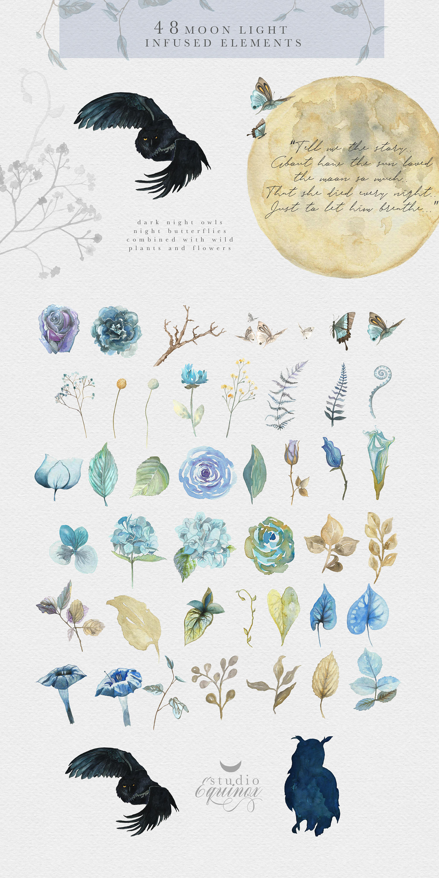 Watercolor Night Set Night Flowers Clipart Night Floral - Etsy