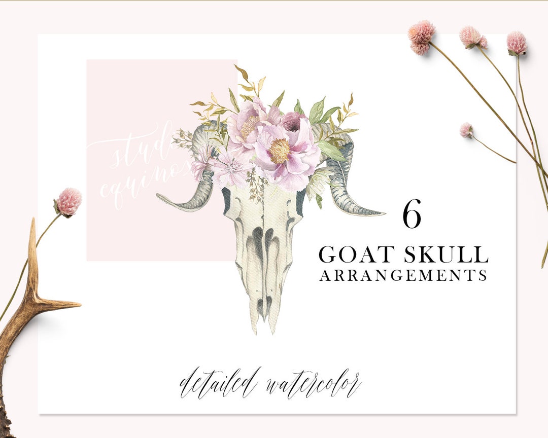 Watercolor Goat Skull Floral Clipart, Boho Rustic PNG (digital Download ...