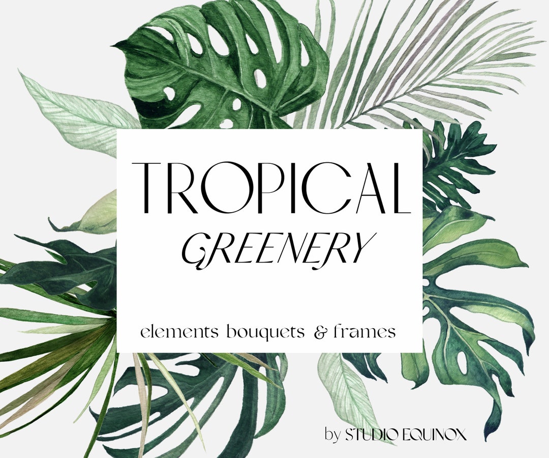 Watercolor Tropical Clipart, Greenery Leaves, Bouquets, Frames (PNG) - Etsy