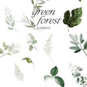 Greenery Foliage Clipart - Greenery Clipart - Eucalyptus Clipart ...
