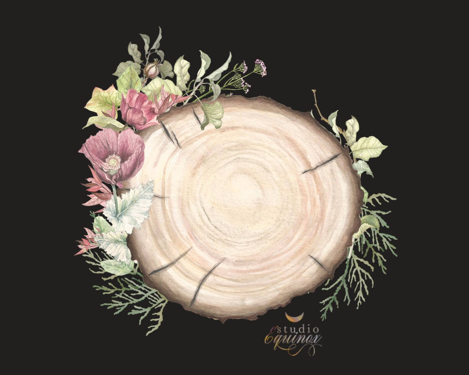 Wood Slices Watercolor Clipart Premade Wood Slice Designs - Etsy