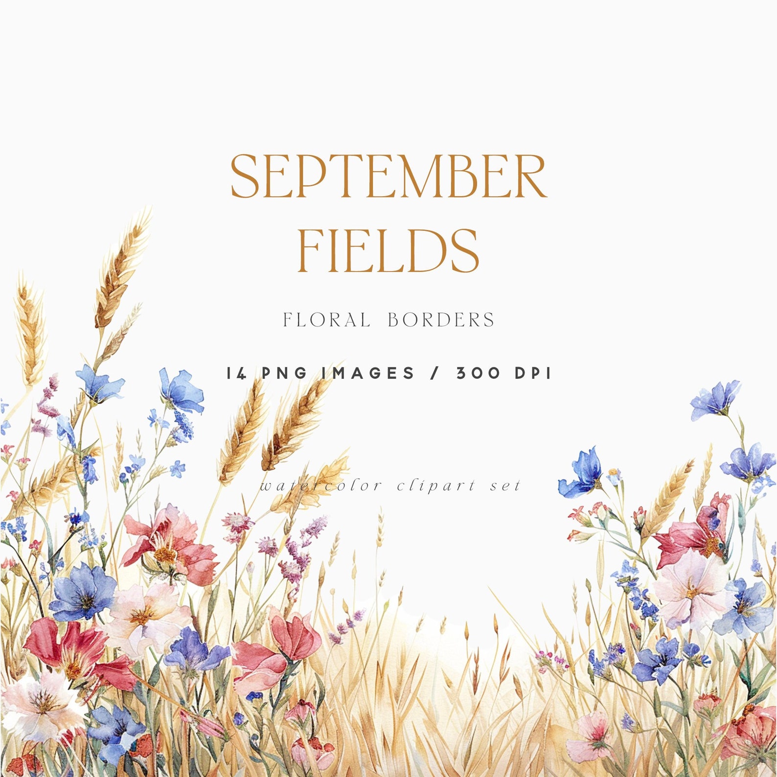 Watercolor Wheat Field Clipart, Autumn Floral Borders (PNG) - Etsy