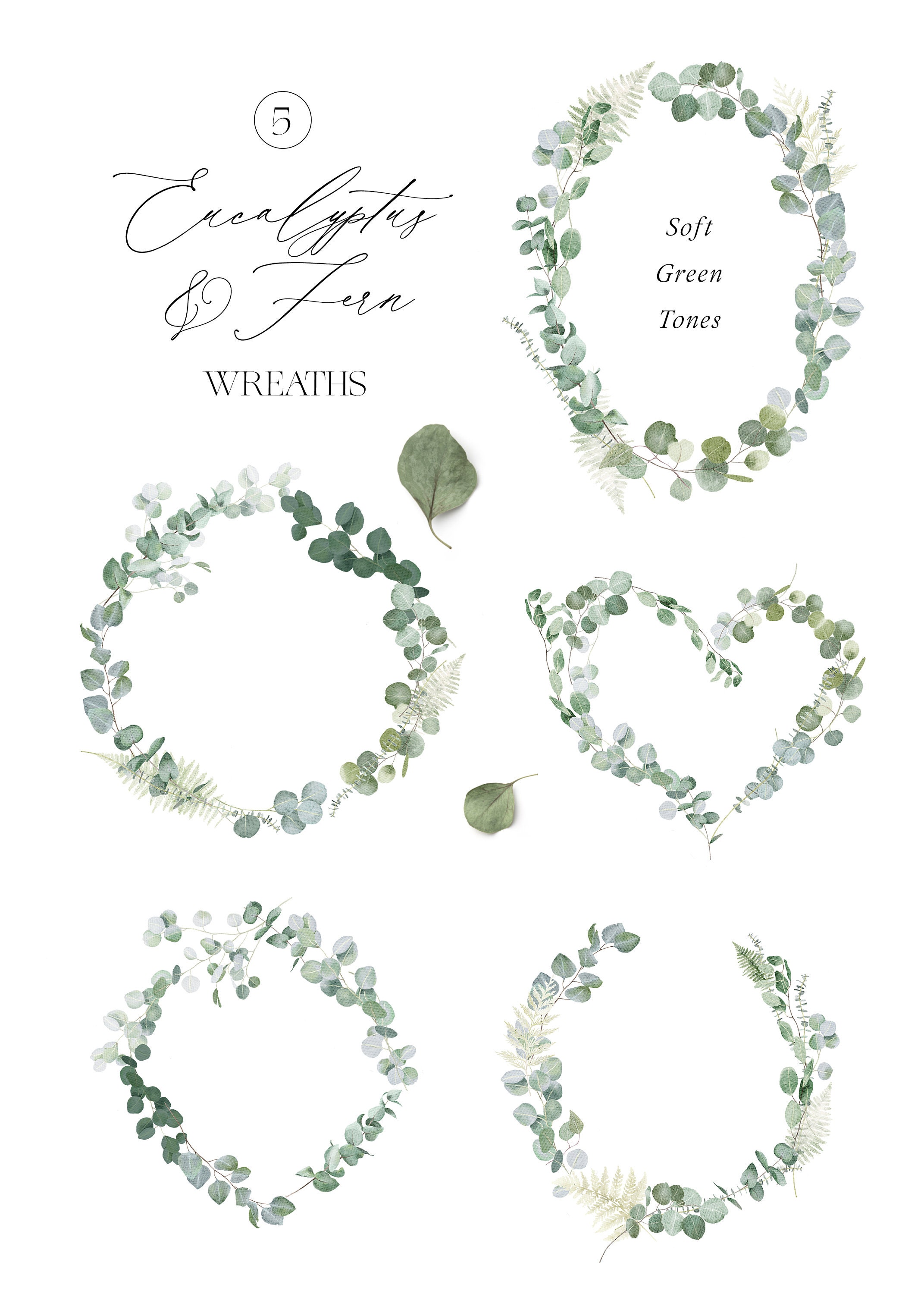 Eucalyptus and Fern Watercolor Clipart Greenery Clipart Soft - Etsy