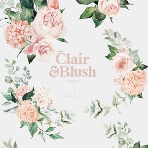 Clair & Blush Watercolor Blush Graphic Set, Summer Floral Clipart ...