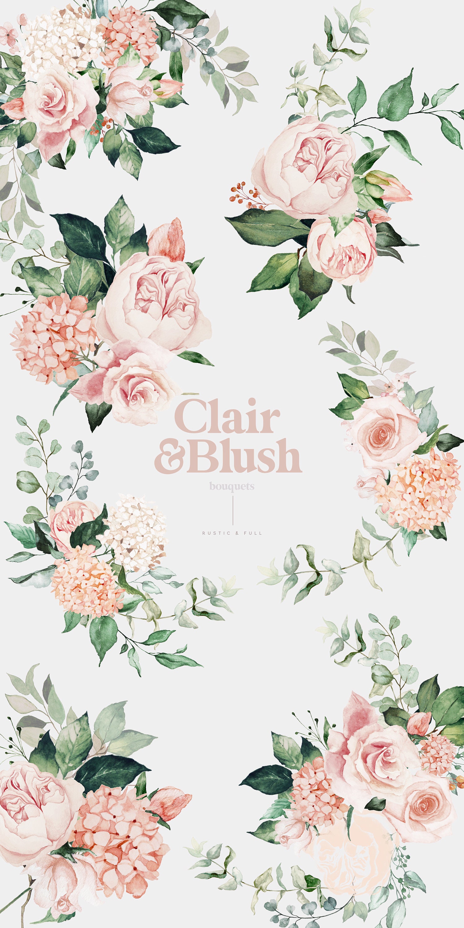 Clair & Blush Watercolor Blush Graphic Set Summer Floral - Etsy