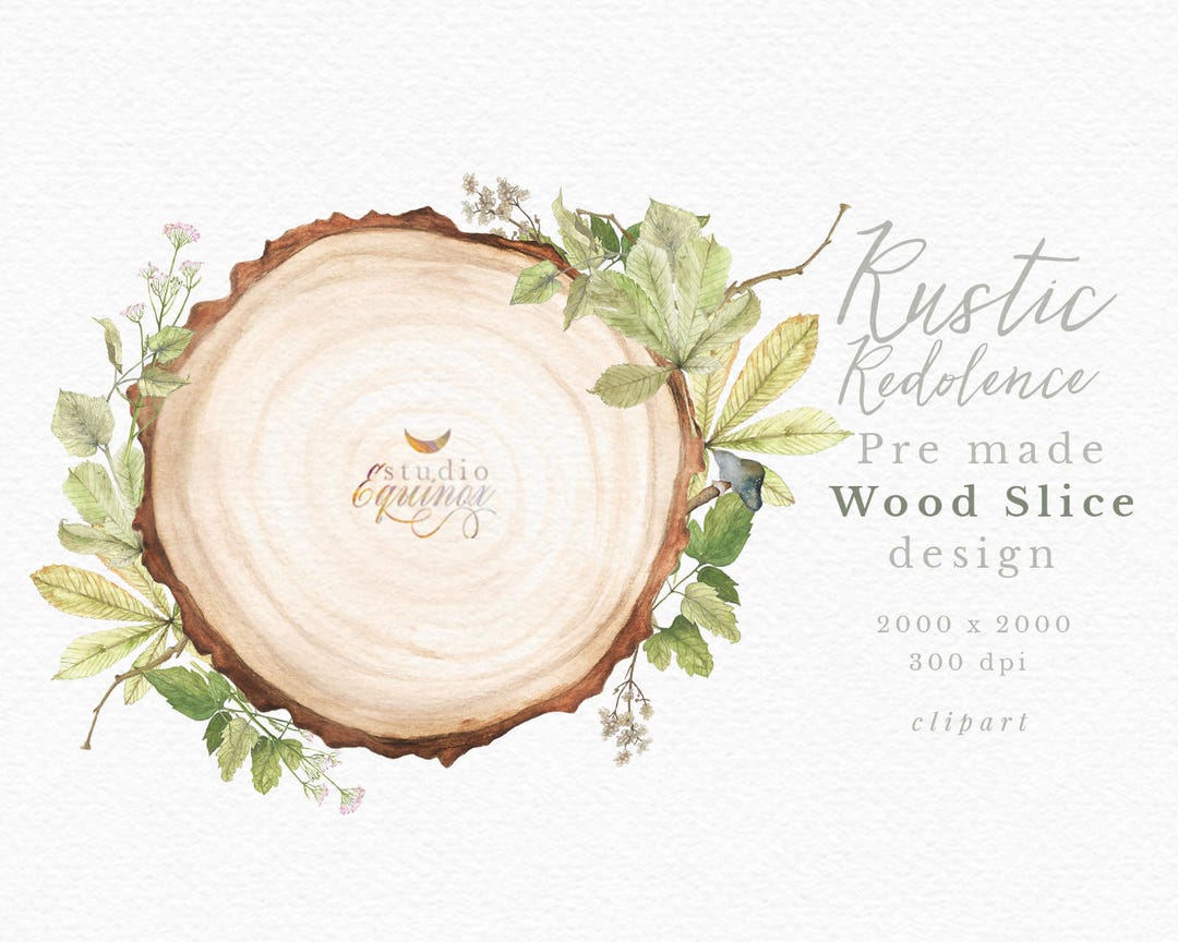 Watercolor Wood Slice Clipart, Rustic Floral Design (PNG) - Etsy