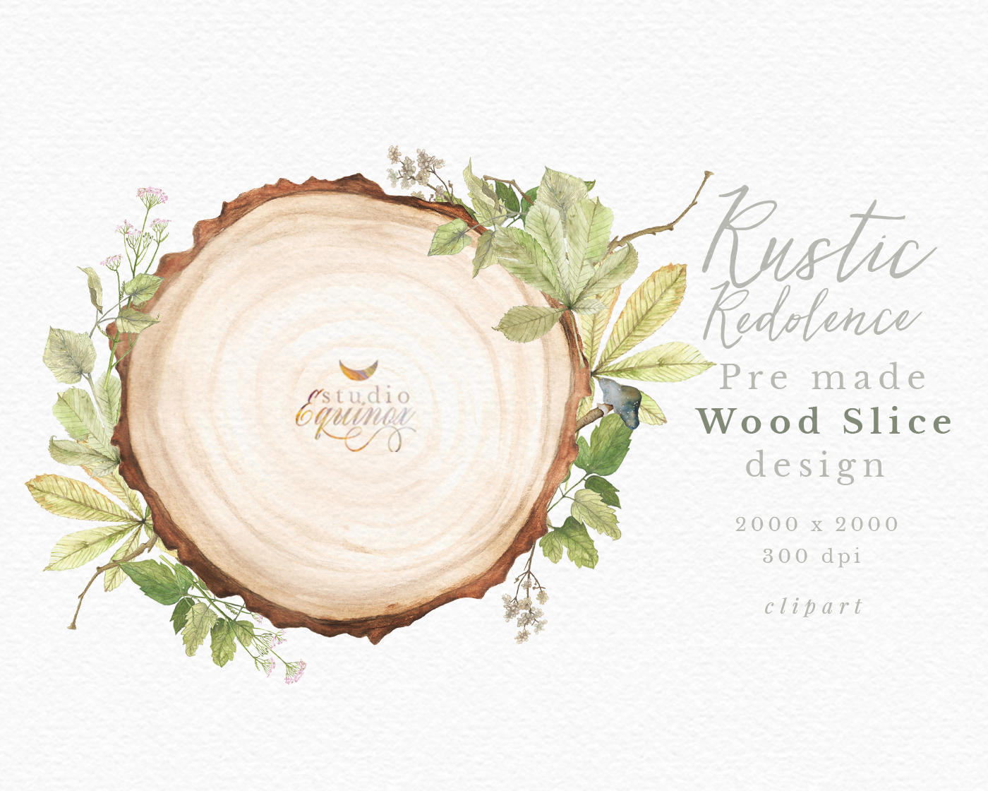 Tree Borders Clipart Watercolor Wood Slice Clipart Rustic wedding ...
