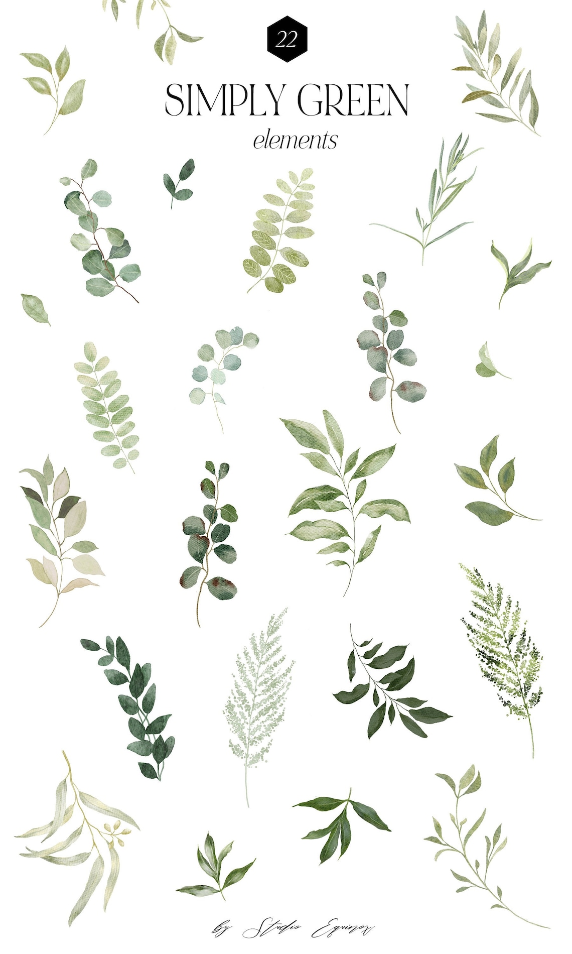 Watercolor Greenery Elements Greenery Clipart Botanical - Etsy