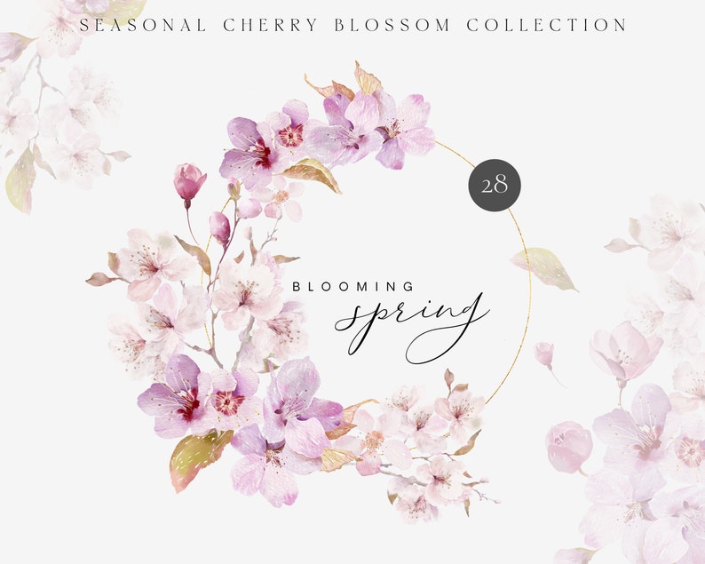 Watercolor Cherry Blossoms Cherry Blossoms Clipart Sakura - Etsy