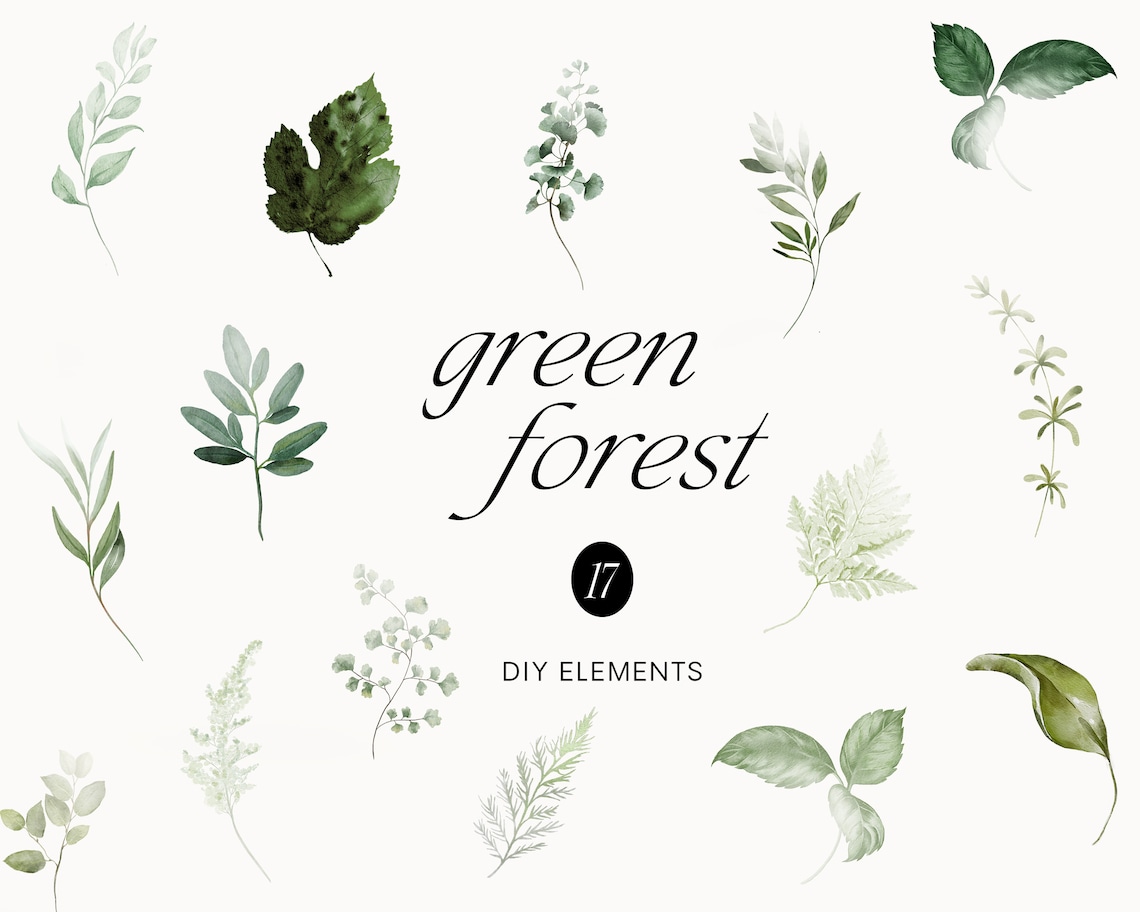 Greenery Foliage Clipart Greenery Clipart Eucalyptus - Etsy