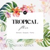 Watercolor Hibiscus Clipart: Tropical Flower Art, Exotic Botanical ...