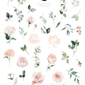 Clair & Blush Watercolor Blush Graphic Set, Summer Floral Clipart ...