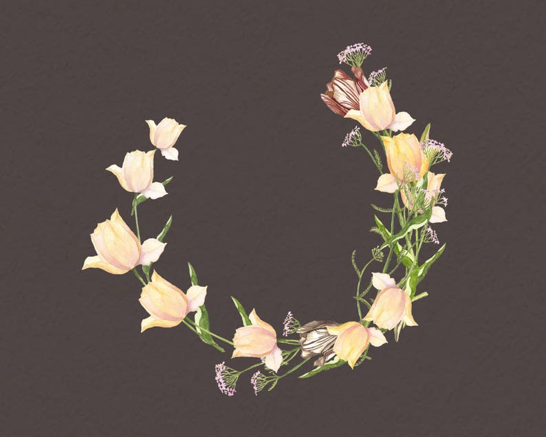 Watercolor Wreath Clipart Tulip Wreath Clipart Wild Flowers - Etsy