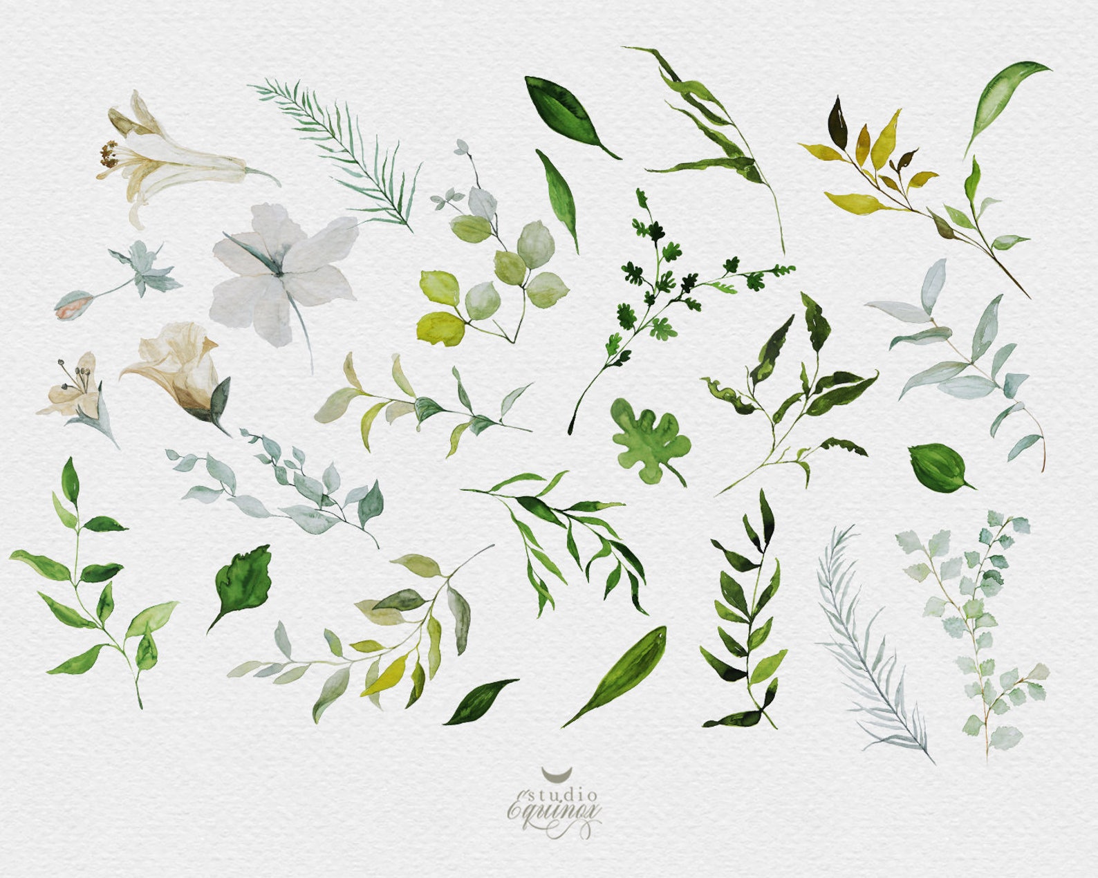 Watercolor Greenery Elements Watercolor Greenery Clipart | Etsy