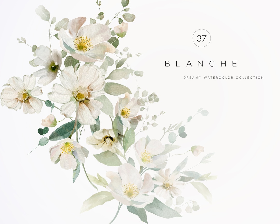 Watercolor White Floral Clipart, Bouquets, Wreaths (PNG Digital ...