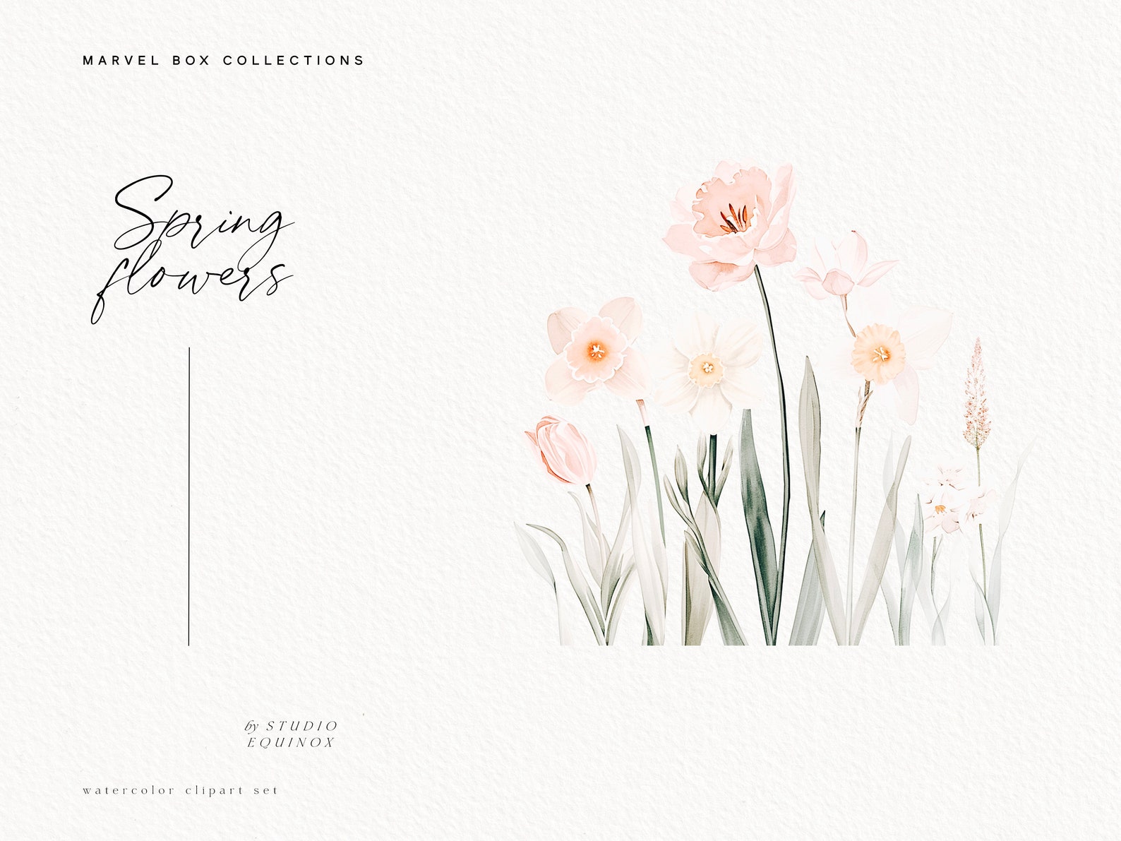 Watercolor Spring Flower Borders Clipart, Tulips, Daffodils (digital ...