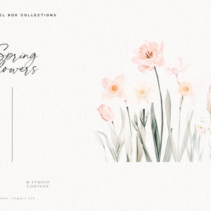 Watercolor Spring Flower Borders Clipart, Tulips, Daffodils (digital ...