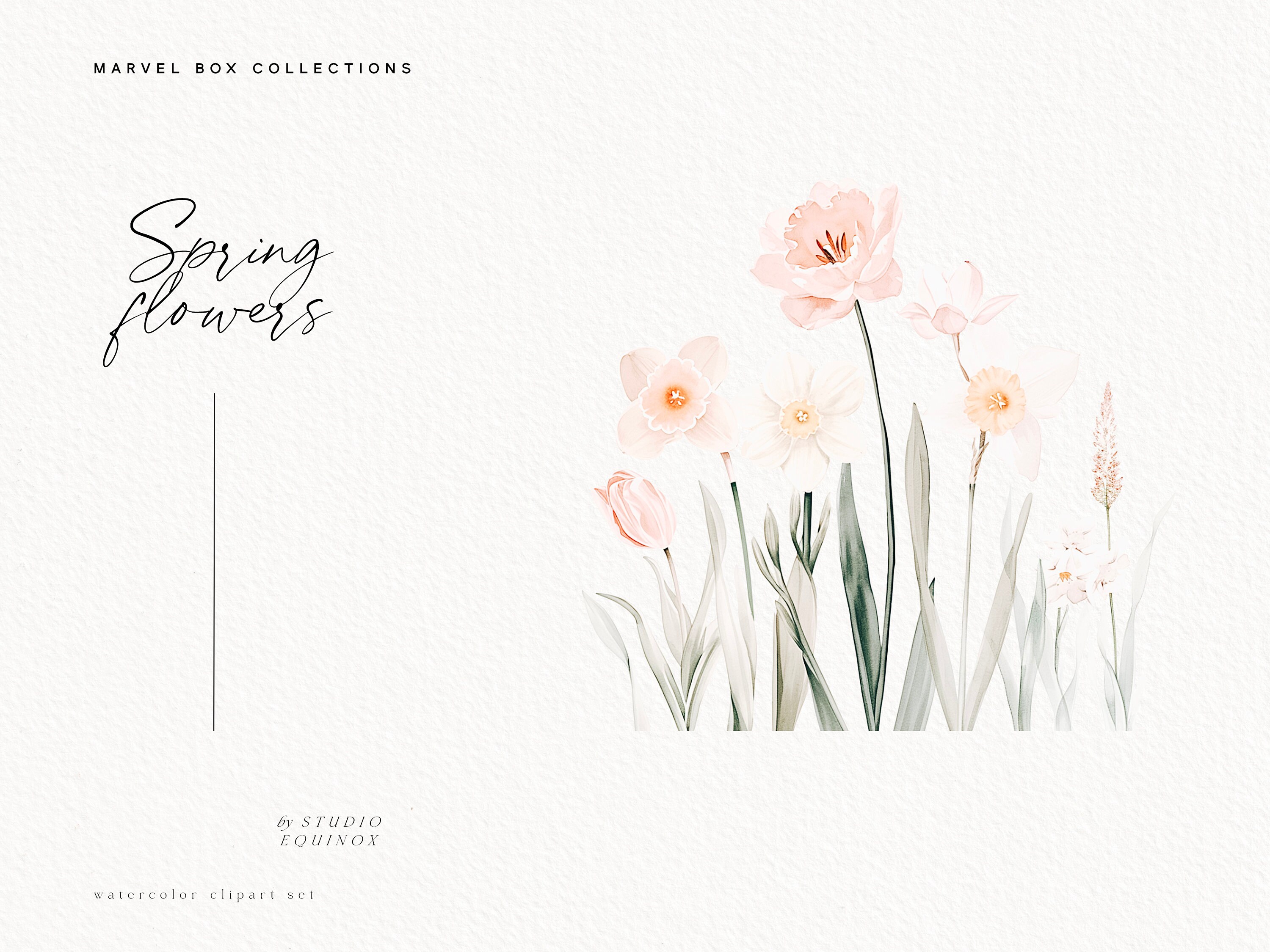 Watercolor Spring Flower Borders Clipart, Tulips, Daffodils (digital ...