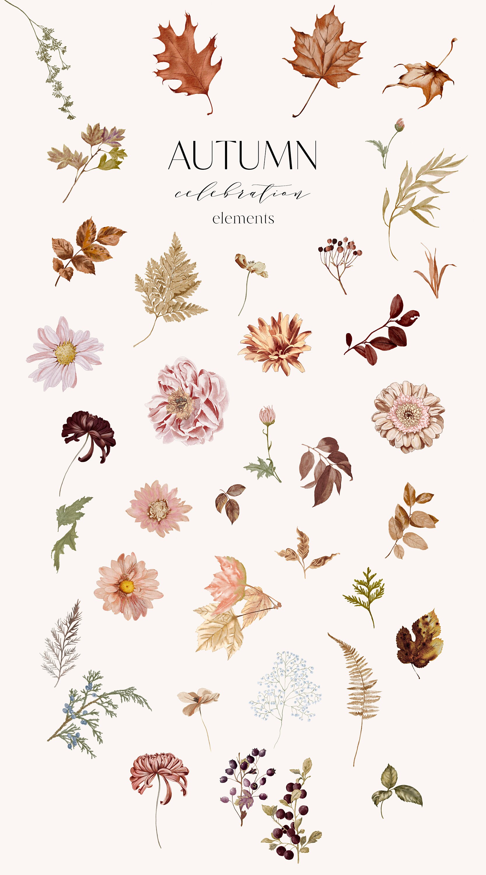 Autumn Celebration Watercolor Autumn Elements Clipart - Etsy