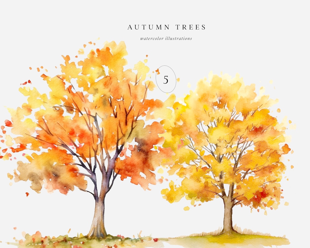 Watercolor Autumn Trees Clipart, Forest Tree, Fall Tree, Autumn Clipart ...