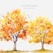 Watercolor Autumn Trees Clipart, Forest Tree, Fall Tree, Autumn Clipart ...