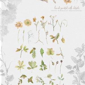 Rustic Watercolor Clipart Set Forest Clipart Squirrel | Etsy