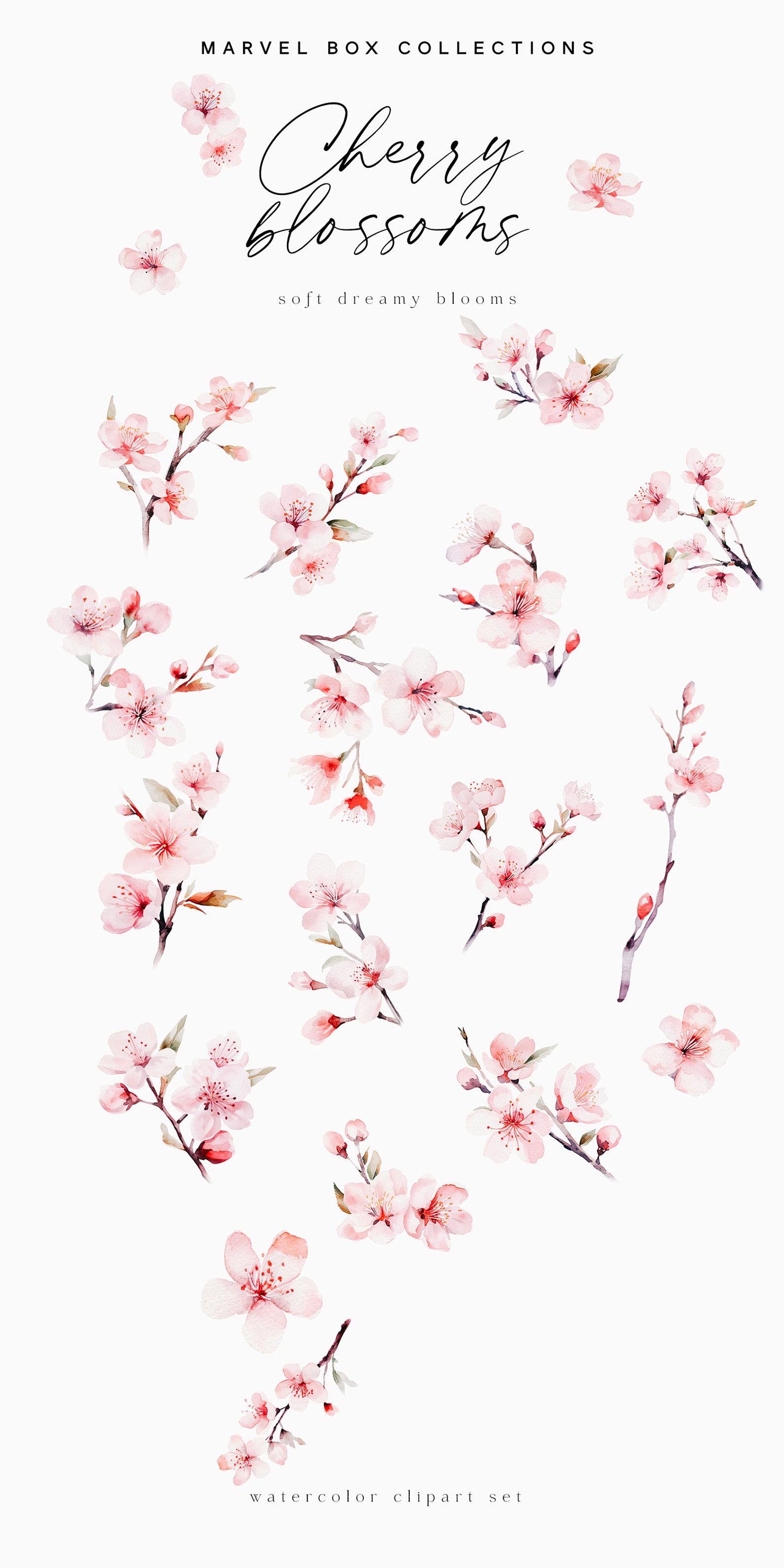 Watercolor Cherry Blossom Clipart, Spring Floral Bouquets (PNG) - Etsy
